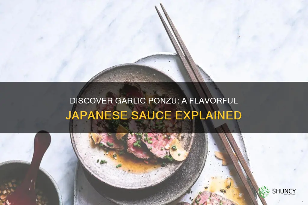 Discover Garlic Ponzu: A Flavorful Japanese Sauce Explained | ShunCy