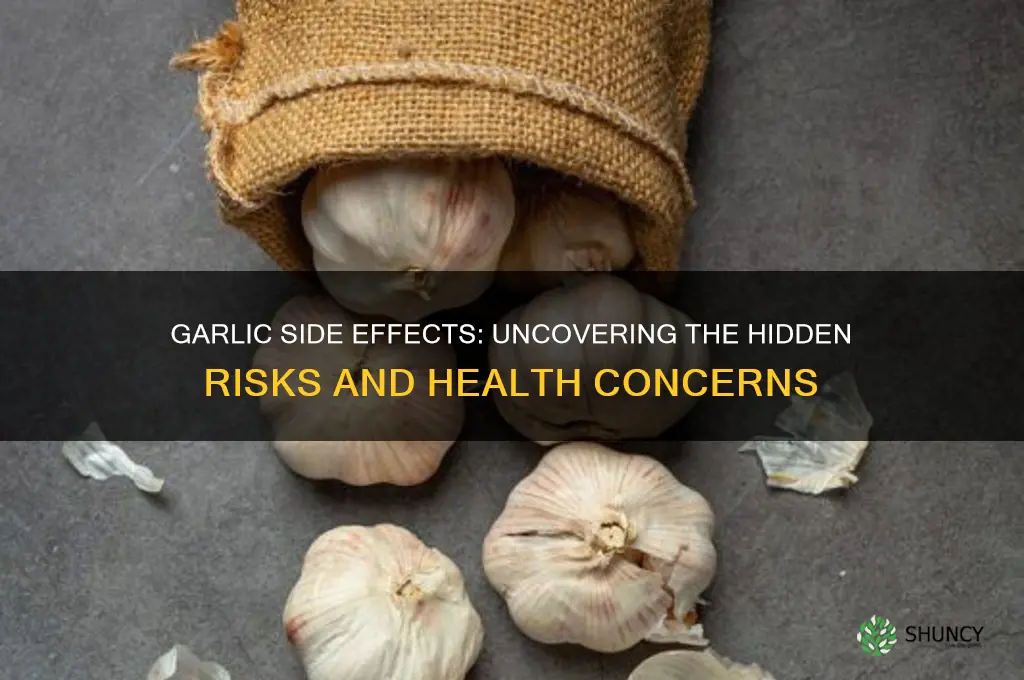 Garlic Side Effects: Uncovering The Hidden Risks And Health Concerns ...