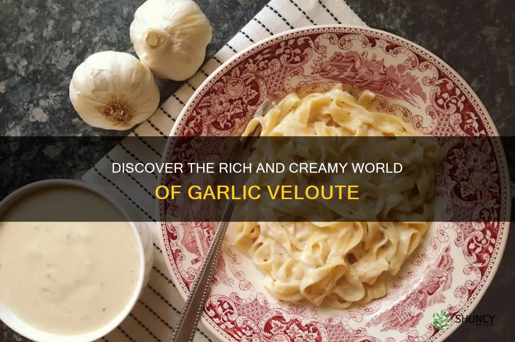 Discover The Rich And Creamy World Of Garlic Veloute | ShunCy