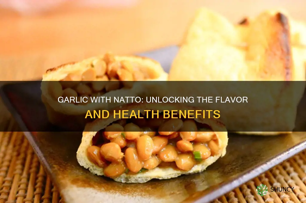 Garlic With Natto: Unlocking The Flavor And Health Benefits | ShunCy