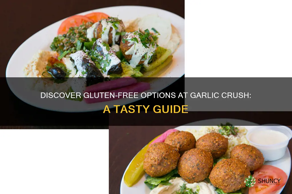 Discover Gluten-Free Options At Garlic Crush: A Tasty Guide | ShunCy