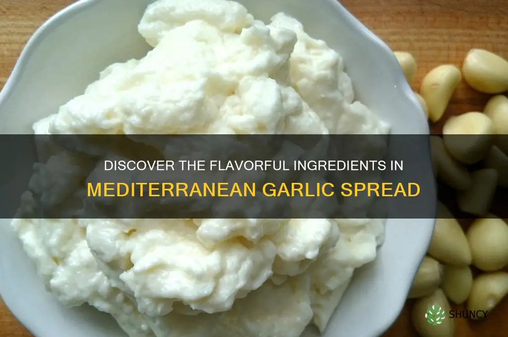 Discover The Flavorful Ingredients In Mediterranean Garlic Spread | ShunCy