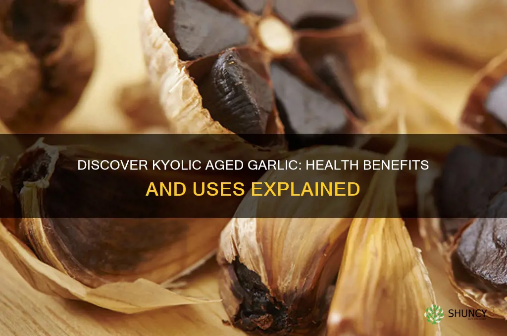 Discover Kyolic Aged Garlic: Health Benefits And Uses Explained | ShunCy