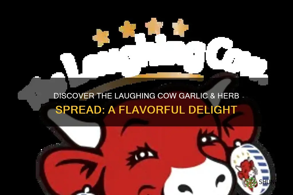 Discover The Laughing Cow Garlic & Herb Spread: A Flavorful Delight ...