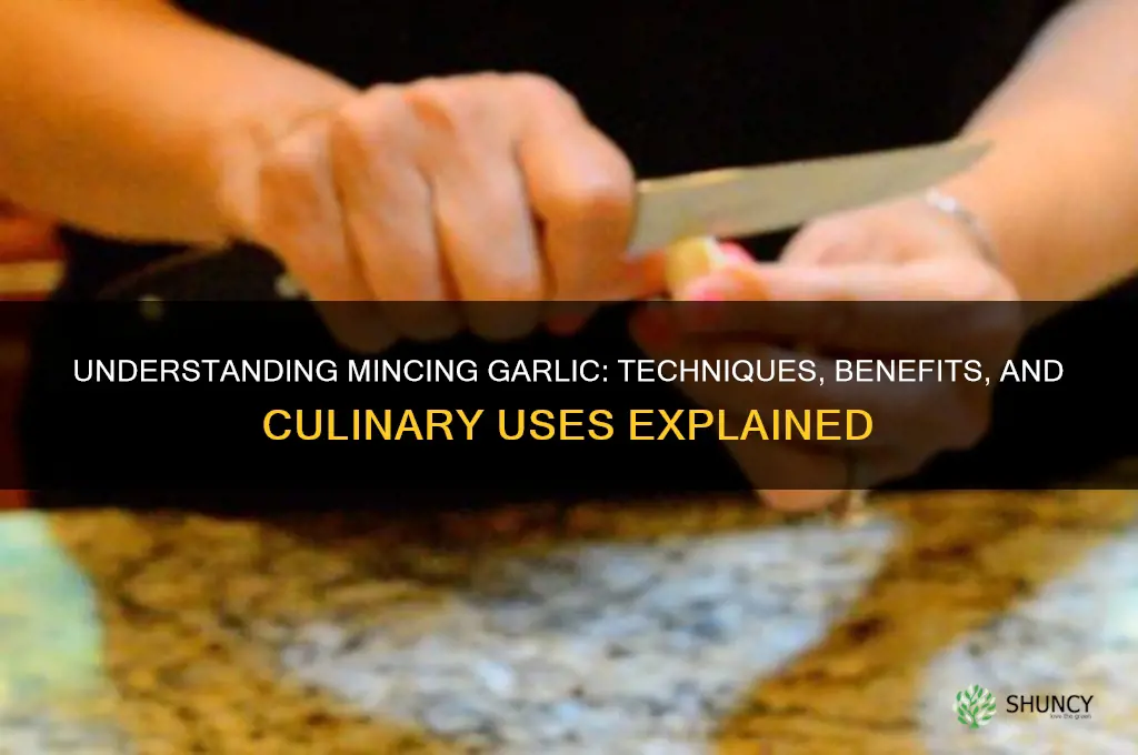 Understanding Mincing Garlic: Techniques, Benefits, And Culinary Uses ...