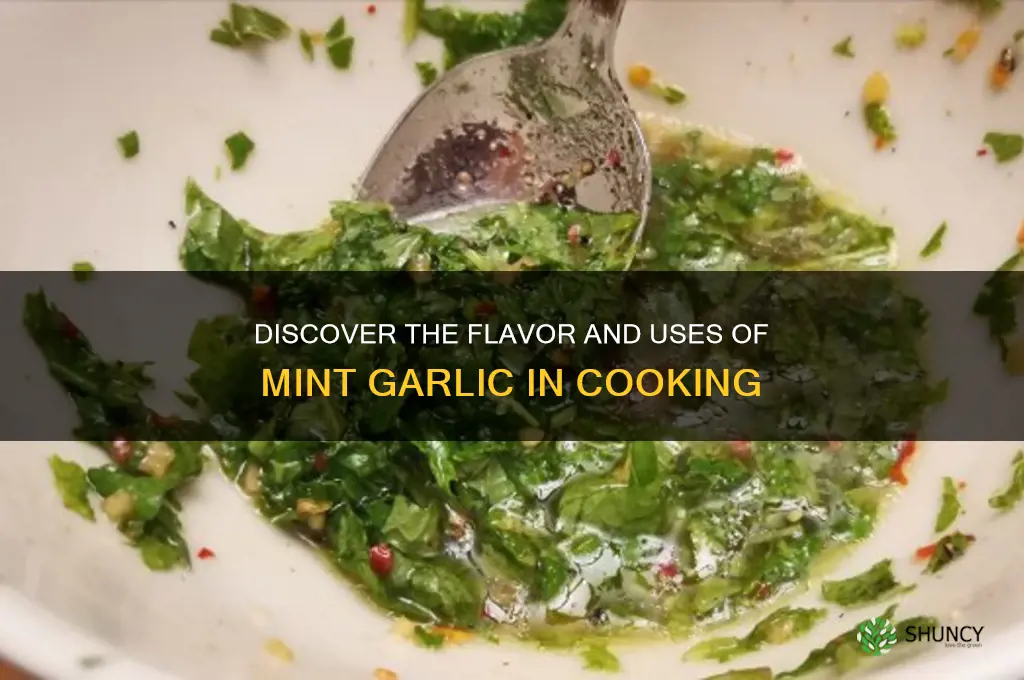 Discover The Flavor And Uses Of Mint Garlic In Cooking | ShunCy