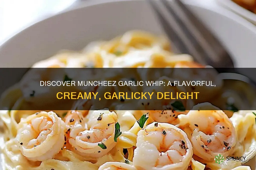 Discover Muncheez Garlic Whip: A Flavorful, Creamy, Garlicky Delight ...