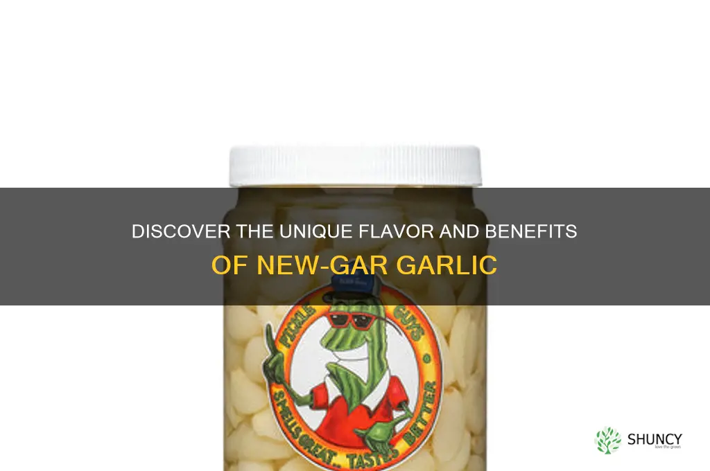Discover The Unique Flavor And Benefits Of New-Gar Garlic | ShunCy