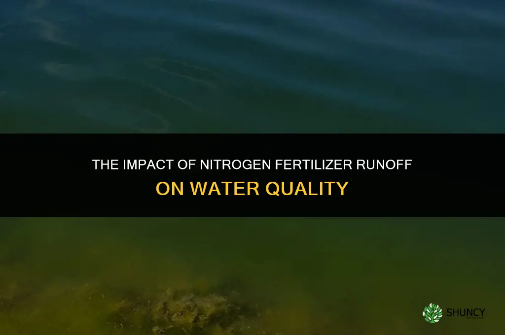 The Impact Of Nitrogen Fertilizer Runoff On Water Quality | ShunCy