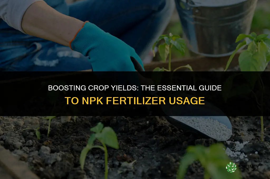 Boosting Crop Yields: The Essential Guide To Npk Fertilizer Usage | ShunCy