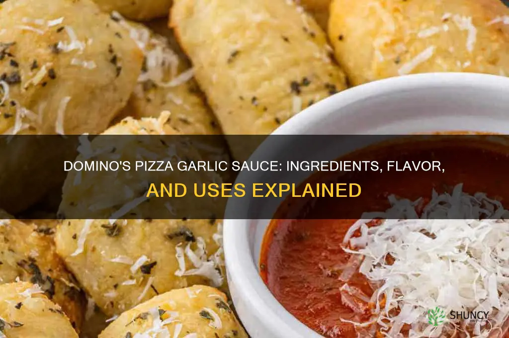 Domino's Pizza Garlic Sauce: Ingredients, Flavor, And Uses Explained ...