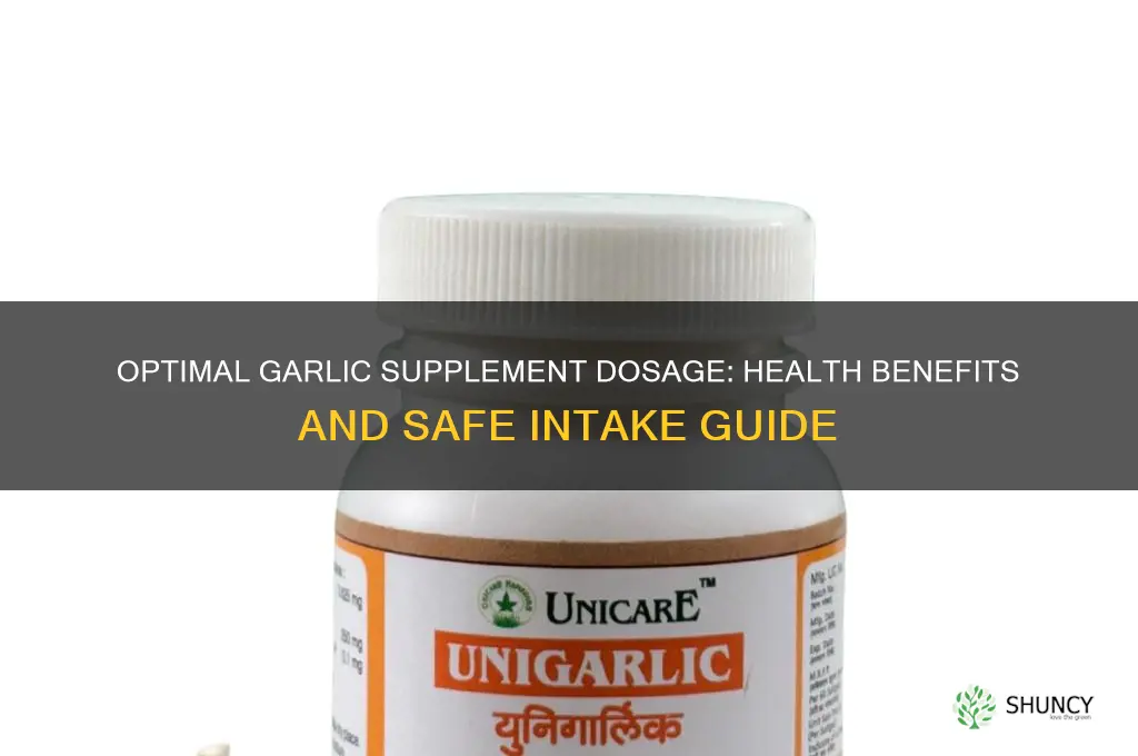 Optimal Garlic Supplement Dosage: Health Benefits And Safe Intake Guide ...