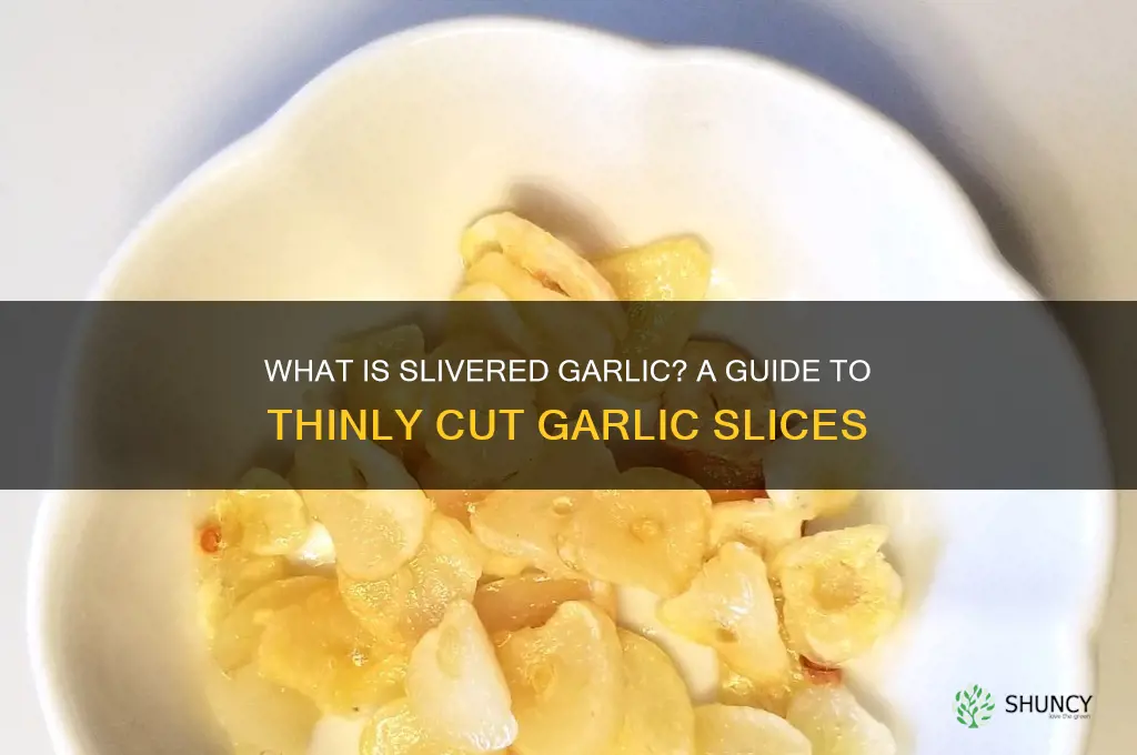 What Is Slivered Garlic? A Guide To Thinly Cut Garlic Slices | ShunCy