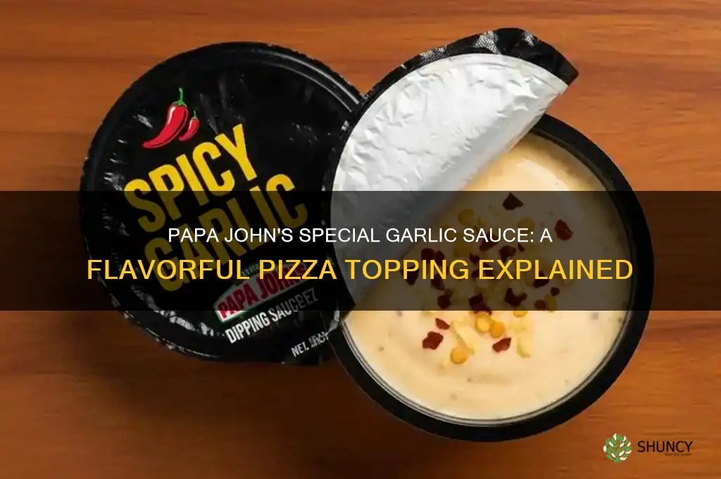 Papa John's Special Garlic Sauce: A Flavorful Pizza Topping Explained ...