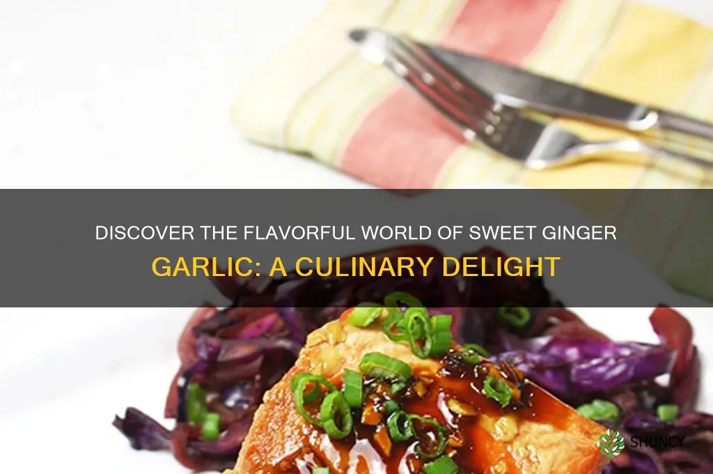 Discover The Flavorful World Of Sweet Ginger Garlic: A Culinary Delight ...