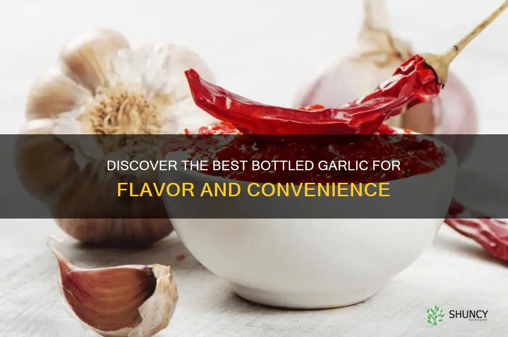 Discover The Best Bottled Garlic For Flavor And Convenience | ShunCy