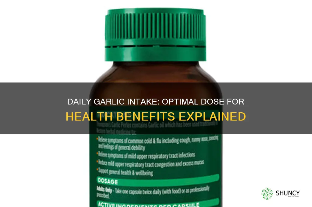Daily Garlic Intake: Optimal Dose For Health Benefits Explained | ShunCy