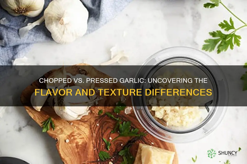 Chopped Vs. Pressed Garlic: Uncovering The Flavor And Texture ...