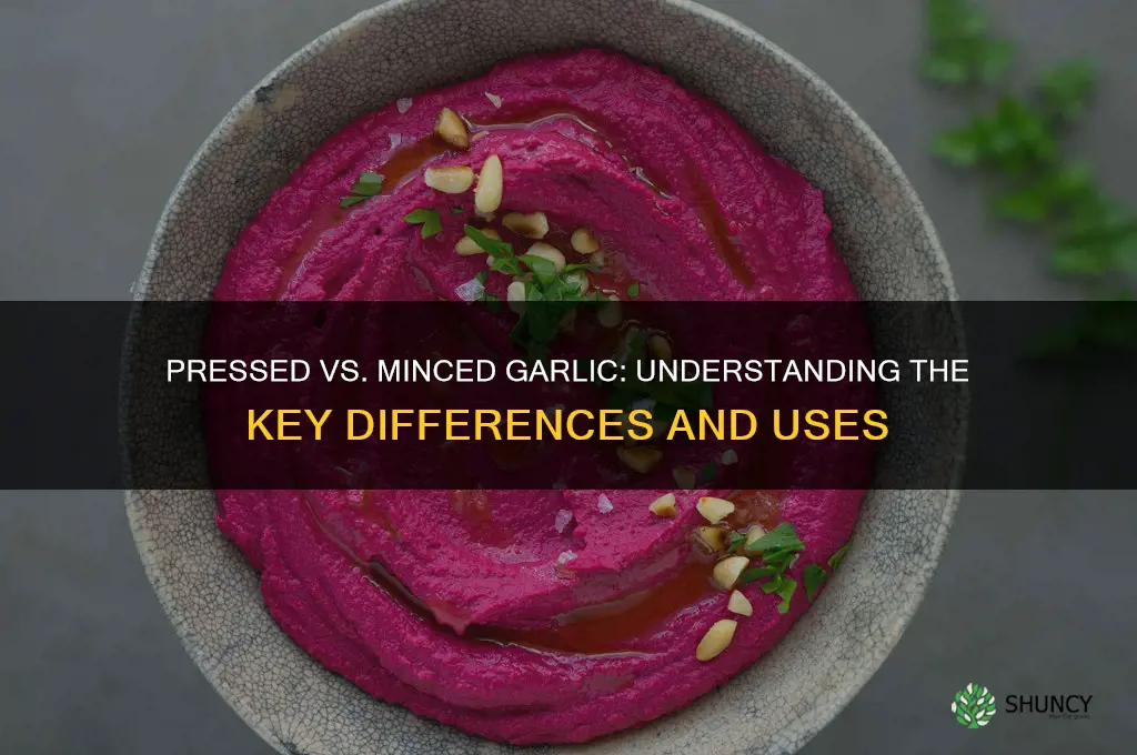 Pressed Vs. Minced Garlic: Understanding The Key Differences And Uses ...