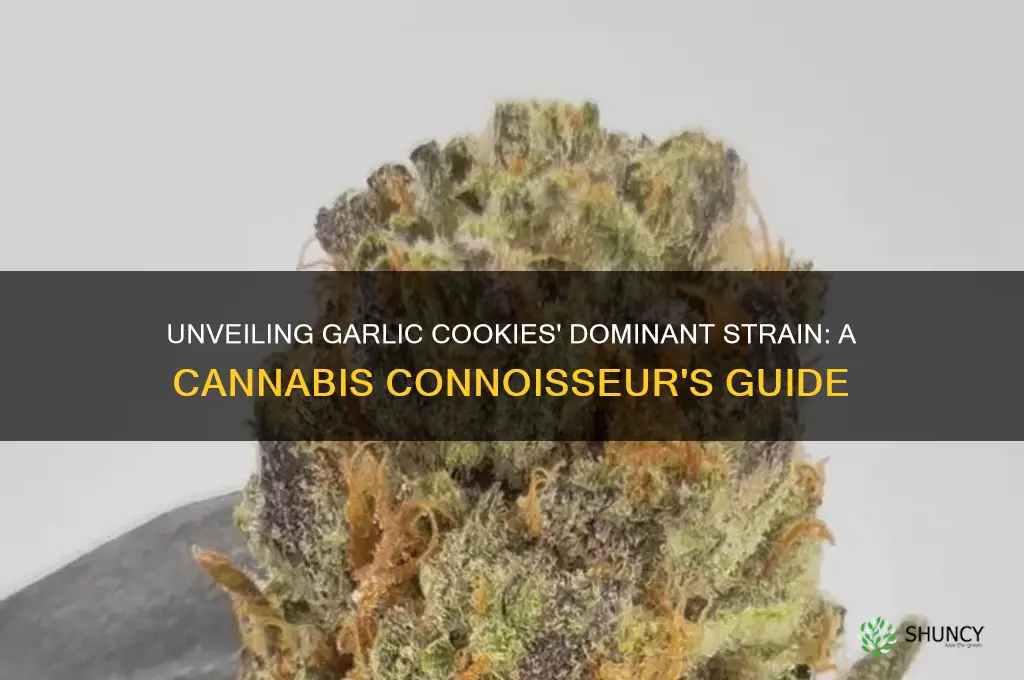 Unveiling Garlic Cookies' Dominant Strain: A Cannabis Connoisseur's ...