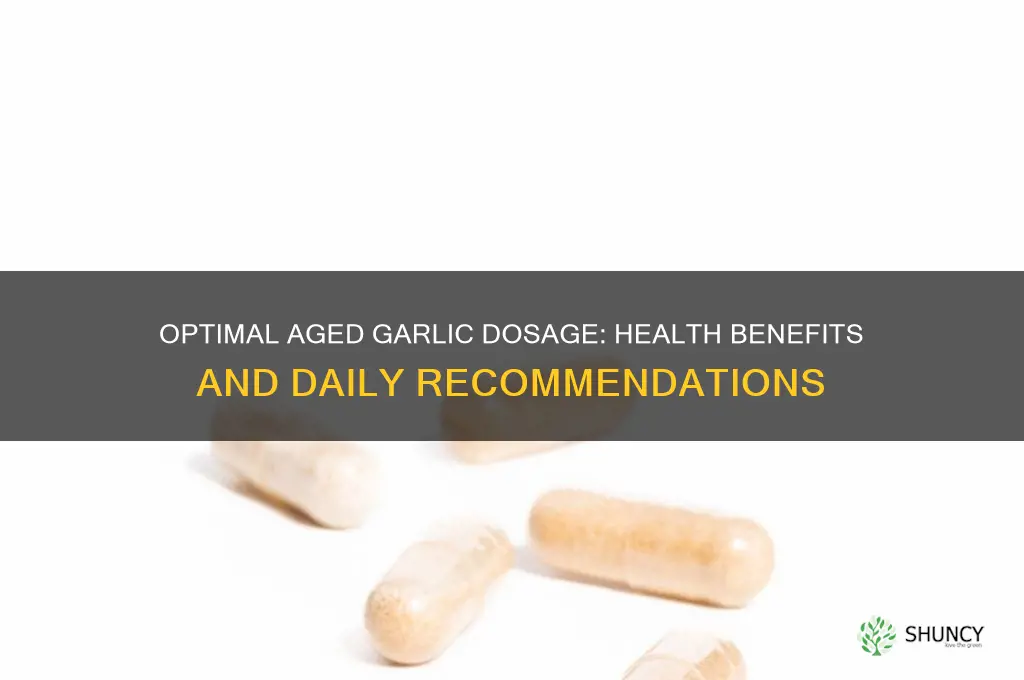 Optimal Aged Garlic Dosage: Health Benefits And Daily Recommendations ...