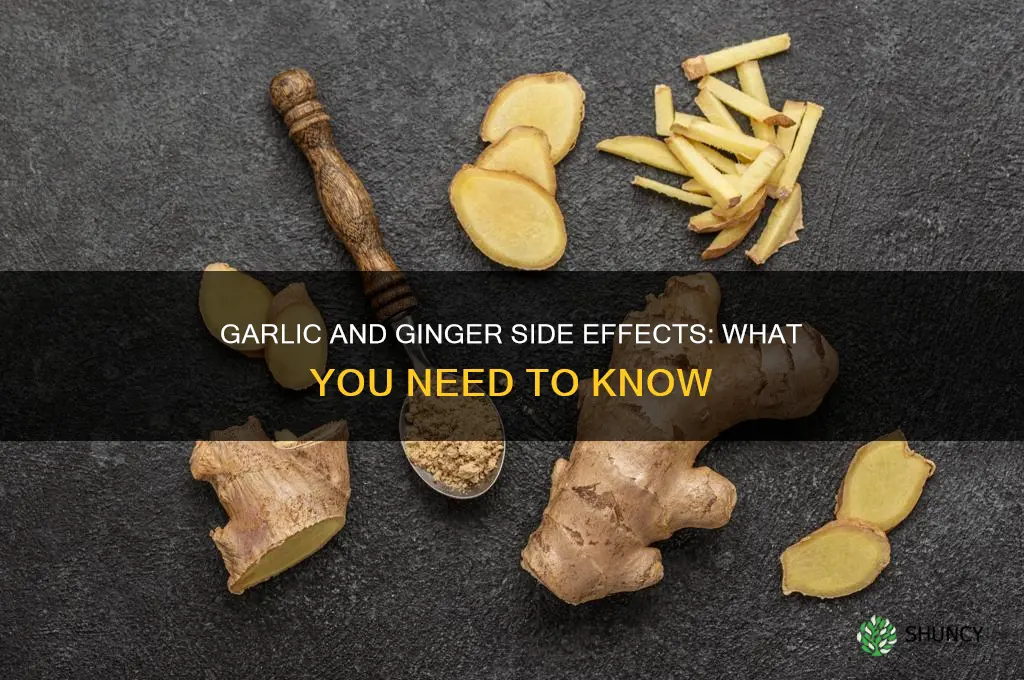 Garlic And Ginger Side Effects: What You Need To Know | ShunCy