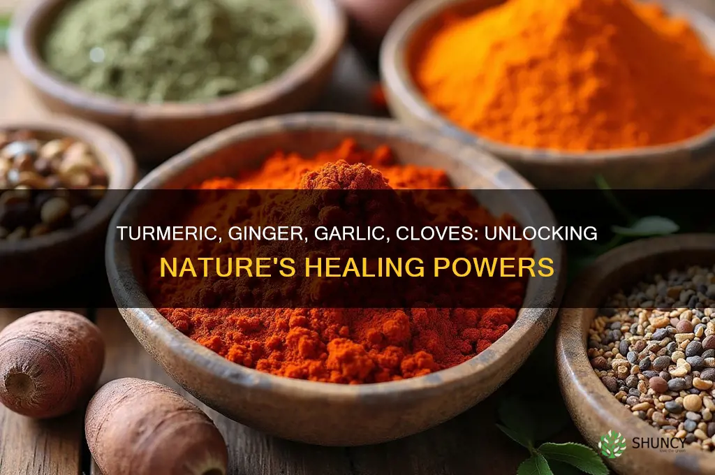 Turmeric, Ginger, Garlic, Cloves: Unlocking Nature's Healing Powers ...