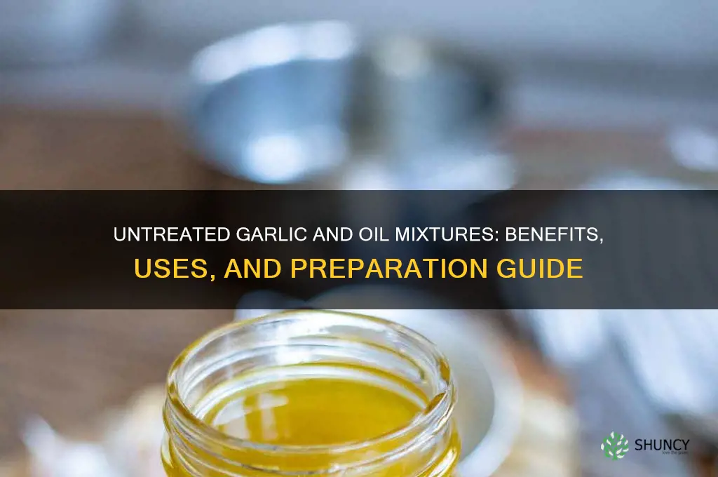 Untreated Garlic And Oil Mixtures: Benefits, Uses, And Preparation ...