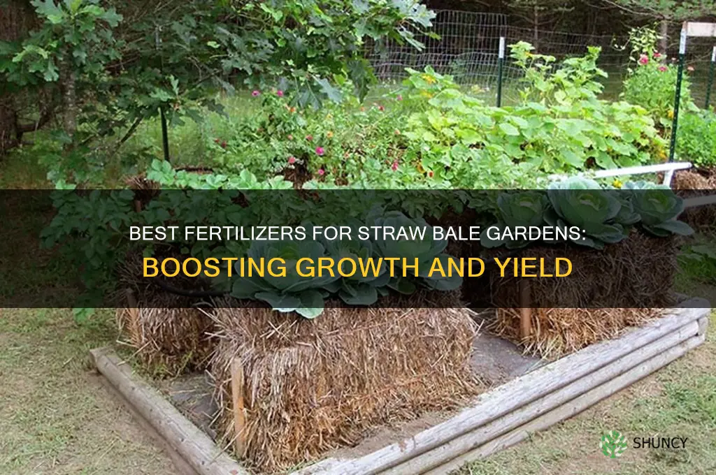 Best Fertilizers For Straw Bale Gardens: Boosting Growth And Yield | ShunCy