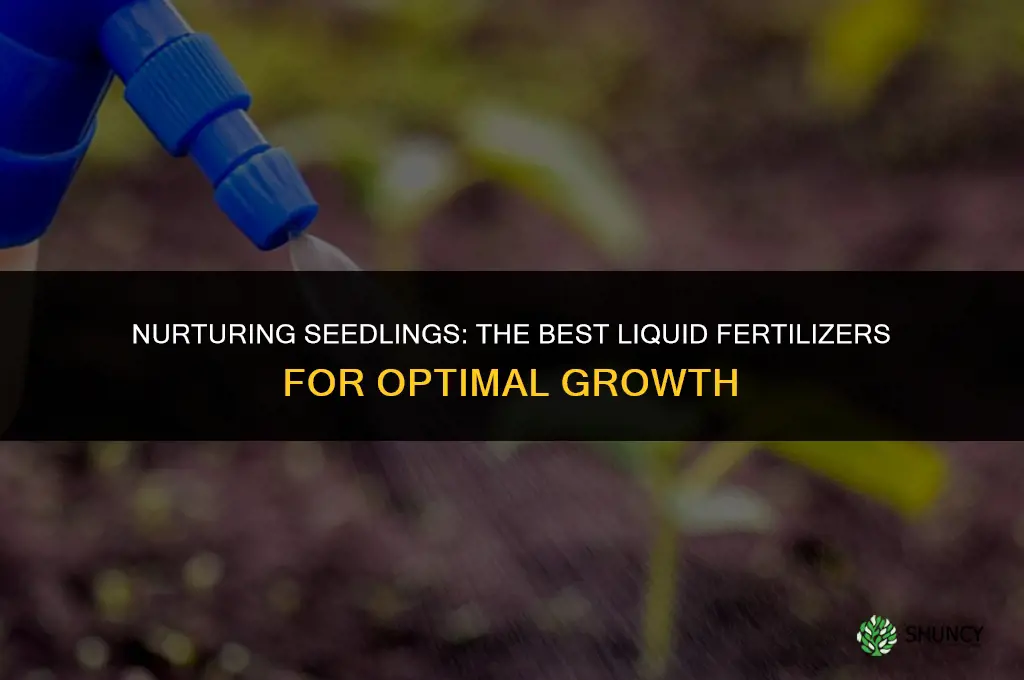 Nurturing Seedlings: The Best Liquid Fertilizers For Optimal Growth ...