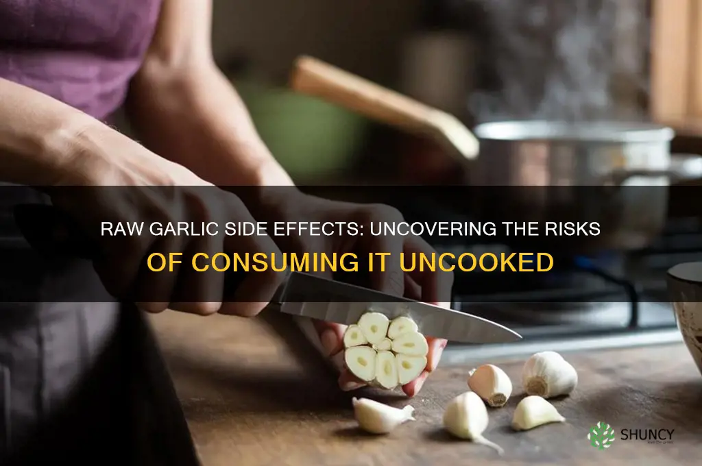Raw Garlic Side Effects: Uncovering The Risks Of Consuming It Uncooked ...