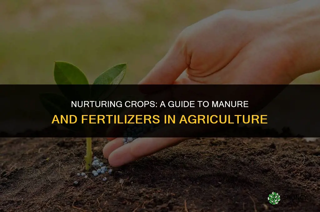 Nurturing Crops: A Guide To Manure And Fertilizers In Agriculture | ShunCy