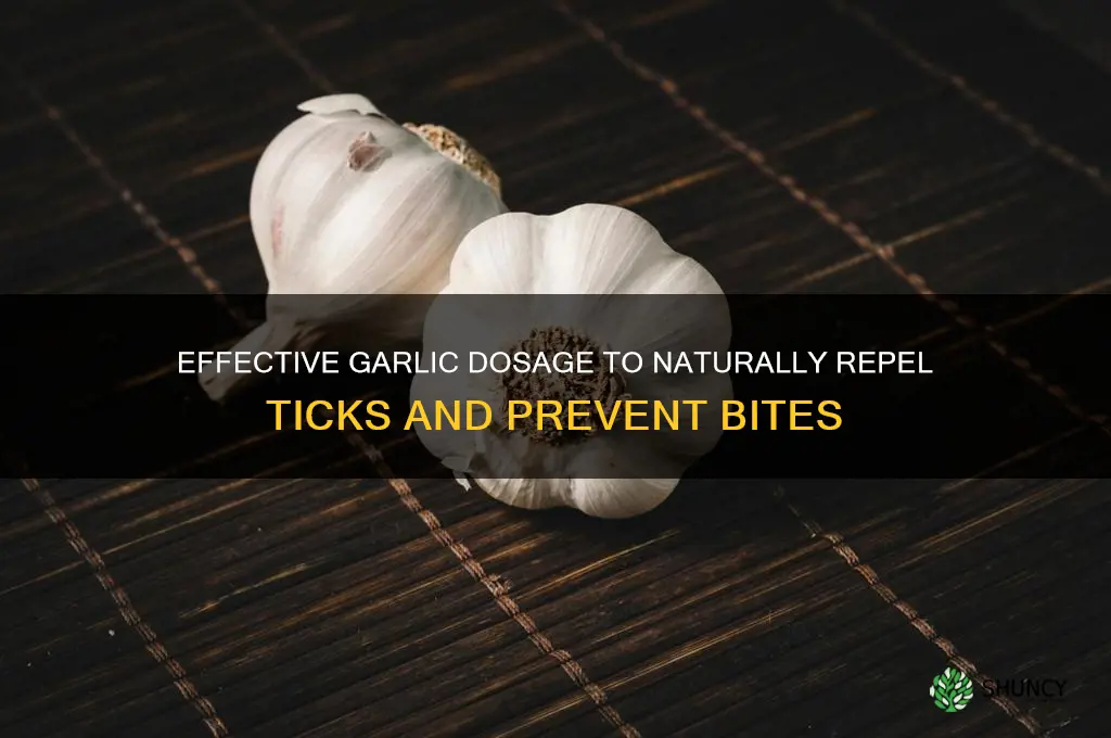 Effective Garlic Dosage To Naturally Repel Ticks And Prevent Bites | ShunCy