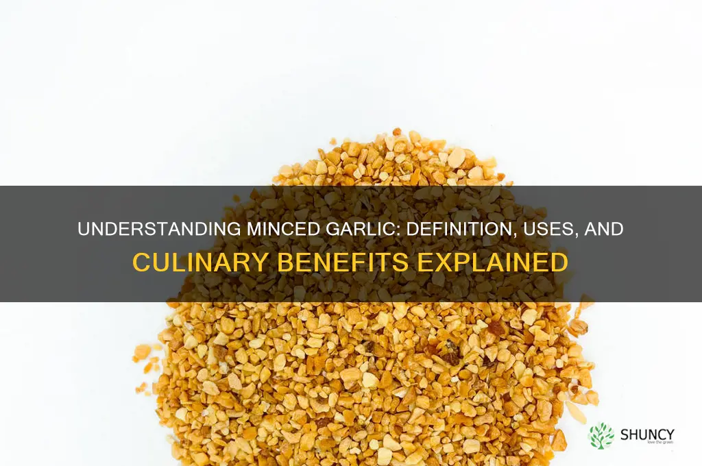 Understanding Minced Garlic: Definition, Uses, And Culinary Benefits ...