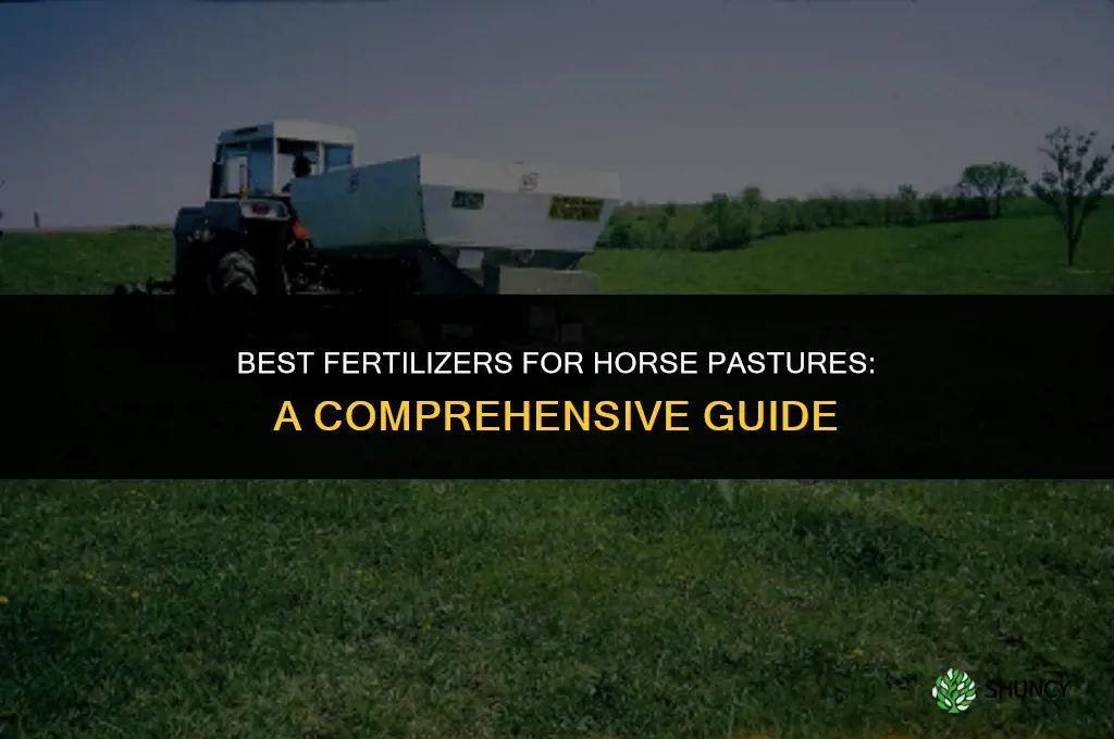 Best Fertilizers For Horse Pastures: A Comprehensive Guide | ShunCy