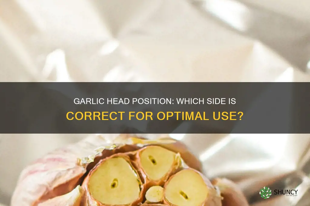 Garlic Head Position: Which Side Is Correct For Optimal Use? | ShunCy