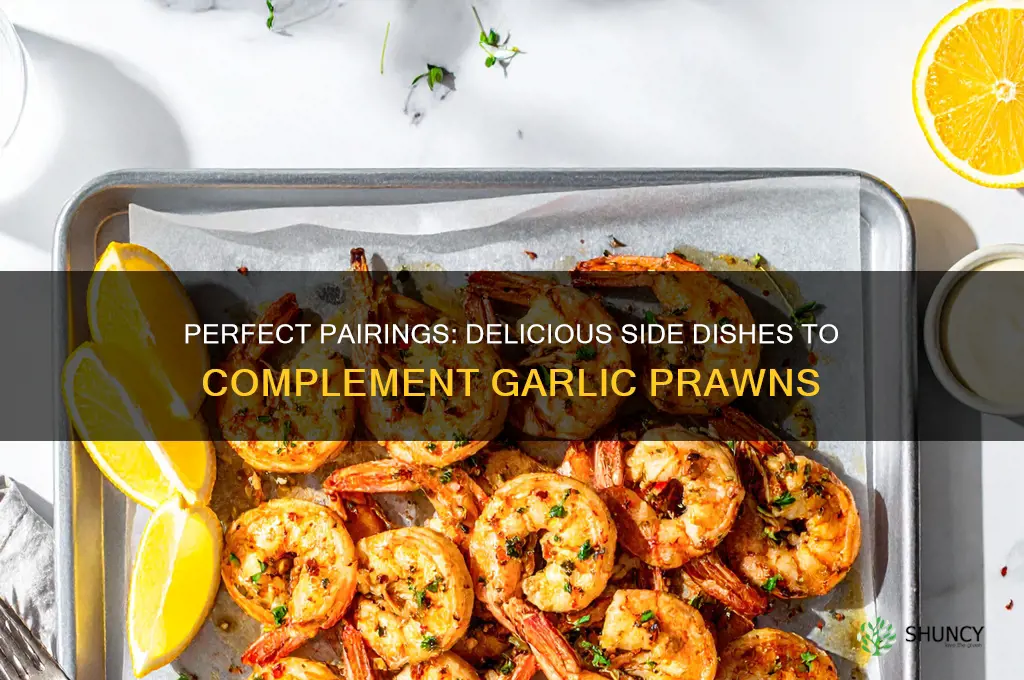 Perfect Pairings: Delicious Side Dishes To Complement Garlic Prawns ...