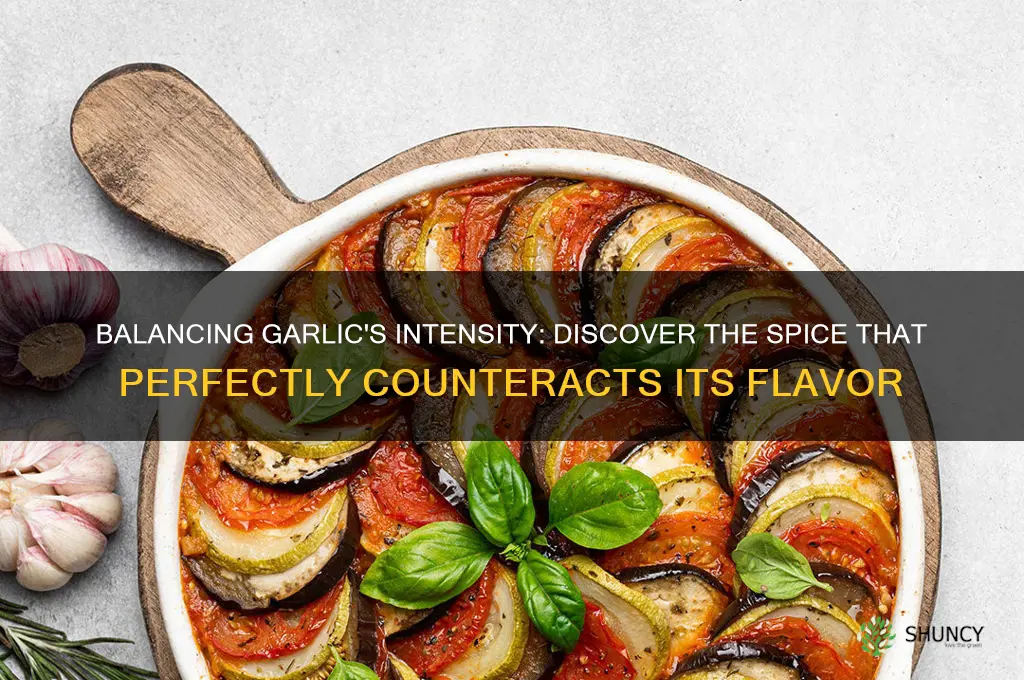 Balancing Garlic's Intensity: Discover The Spice That Perfectly ...