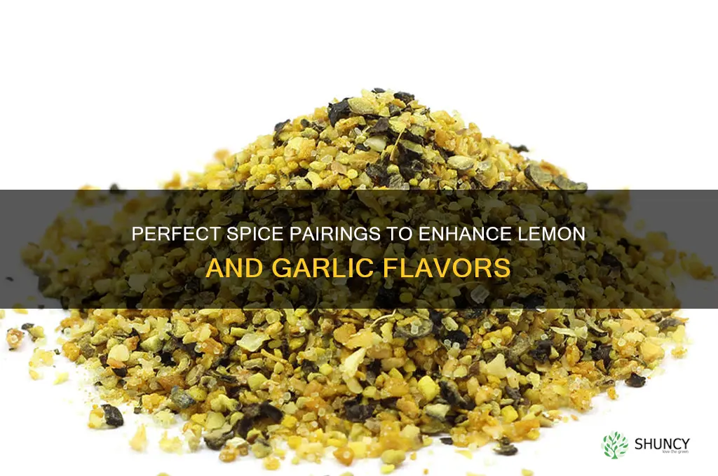 Perfect Spice Pairings To Enhance Lemon And Garlic Flavors | ShunCy