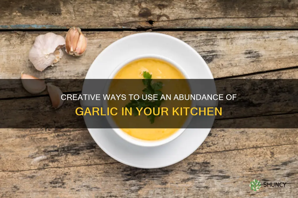 Creative Ways To Use An Abundance Of Garlic In Your Kitchen | ShunCy