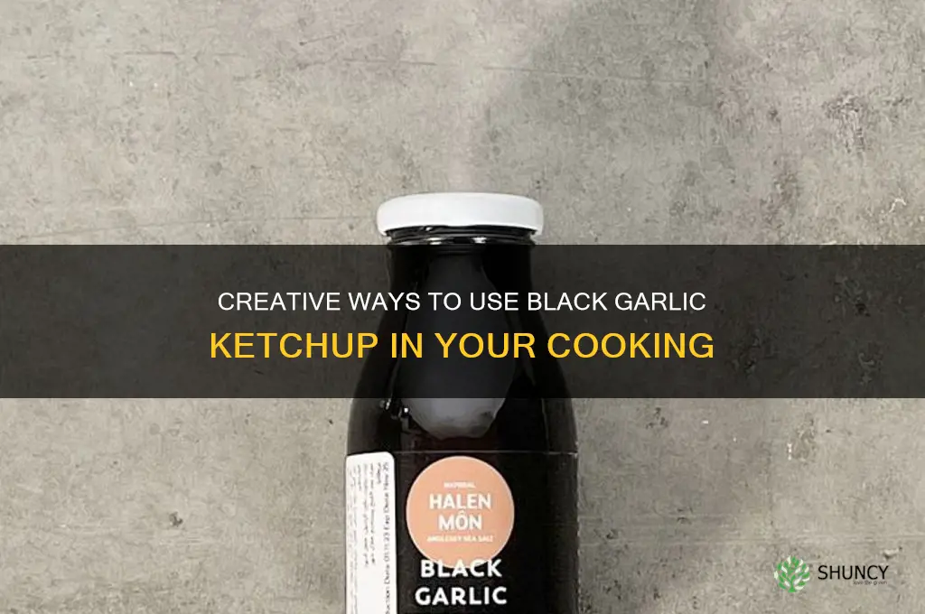 Creative Ways To Use Black Garlic Ketchup In Your Cooking | ShunCy
