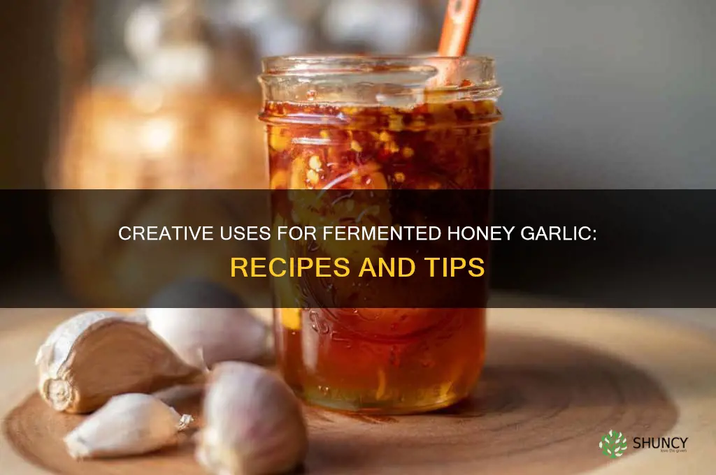 Creative Uses For Fermented Honey Garlic: Recipes And Tips | ShunCy