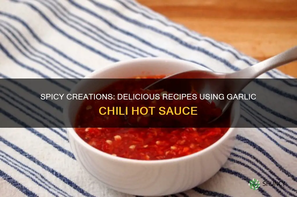 Spicy Creations: Delicious Recipes Using Garlic Chili Hot Sauce | ShunCy