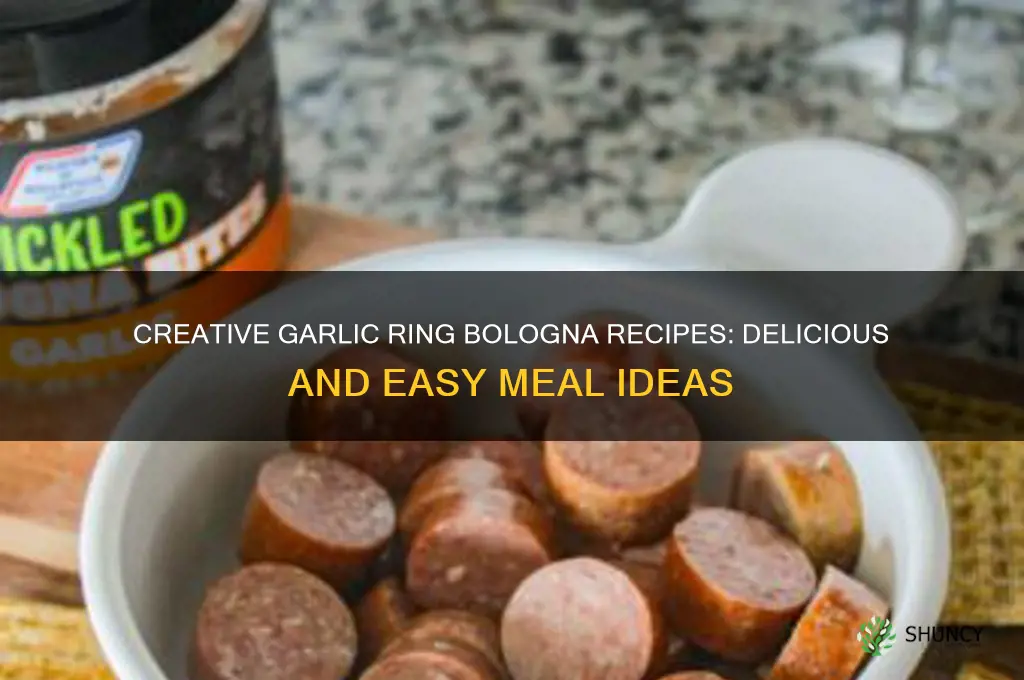 Creative Garlic Ring Bologna Recipes: Delicious And Easy Meal Ideas ...