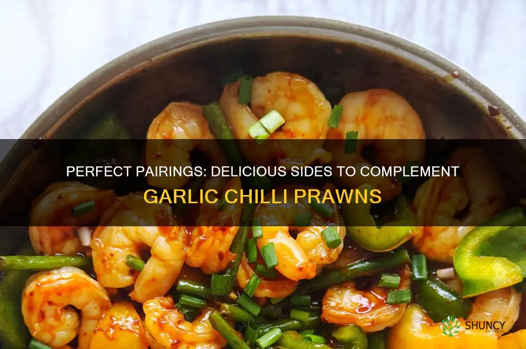 Perfect Pairings: Delicious Sides To Complement Garlic Chilli Prawns ...
