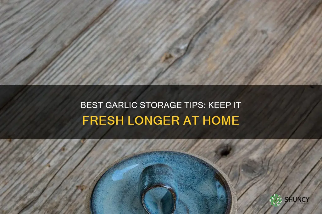 Best Garlic Storage Tips: Keep It Fresh Longer At Home | ShunCy