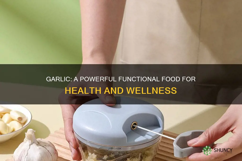 Garlic: A Powerful Functional Food For Health And Wellness | ShunCy