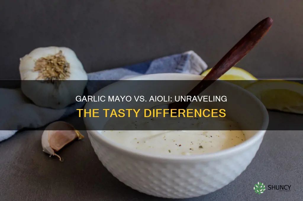Garlic Mayo Vs. Aioli: Unraveling The Tasty Differences | ShunCy