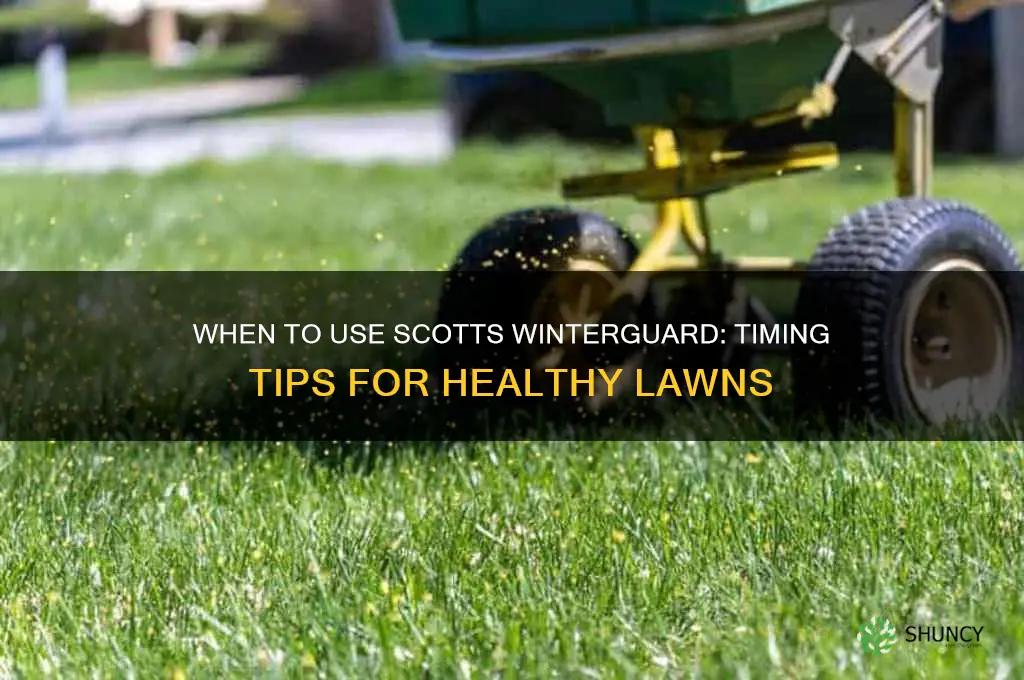 When To Apply Scotts Winterguard