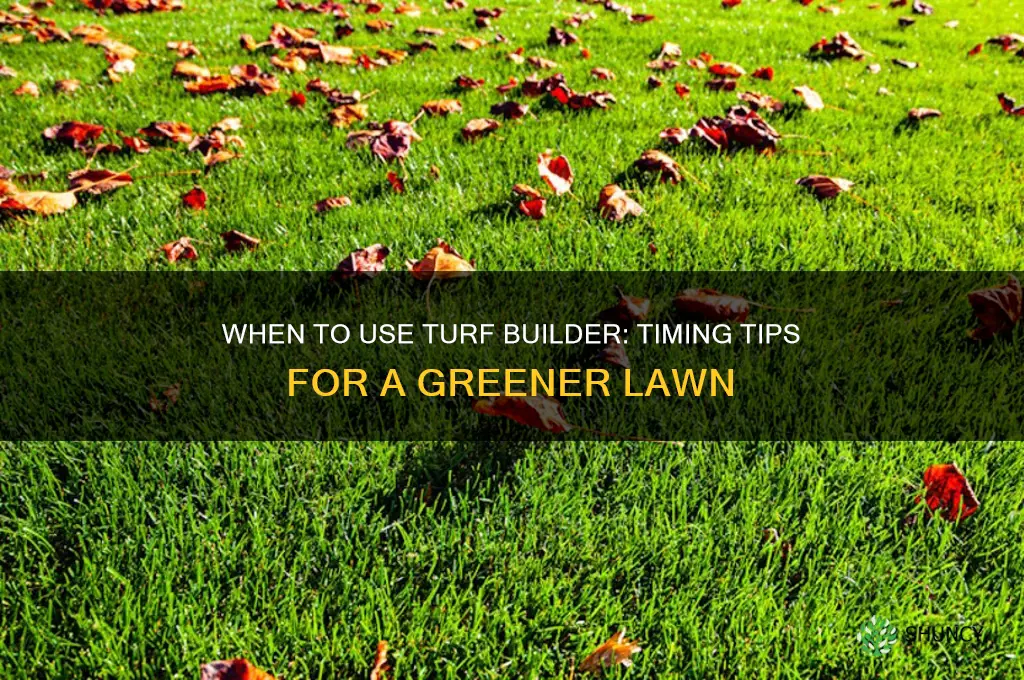 When To Use Turf Builder: Timing Tips For A Greener Lawn | ShunCy